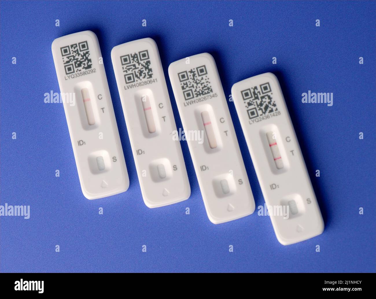 Three negative and one positive lateral flow test result against a ...