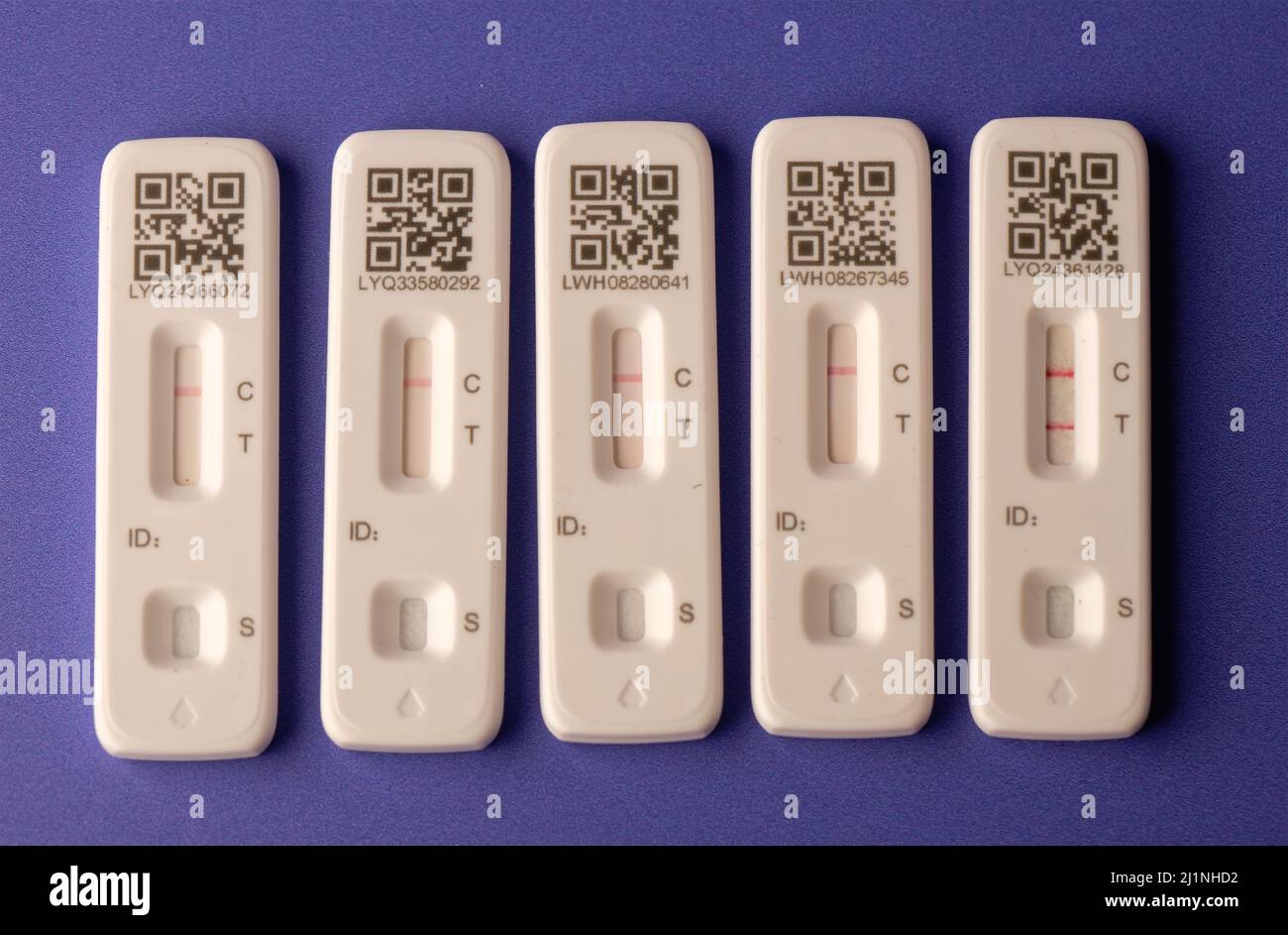 Four negative and one positive lateral flow test result against a ...