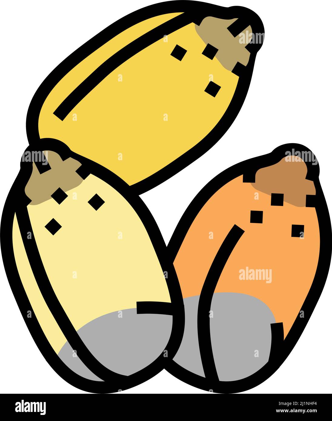 hemp seed color icon vector illustration Stock Vector Image & Art - Alamy