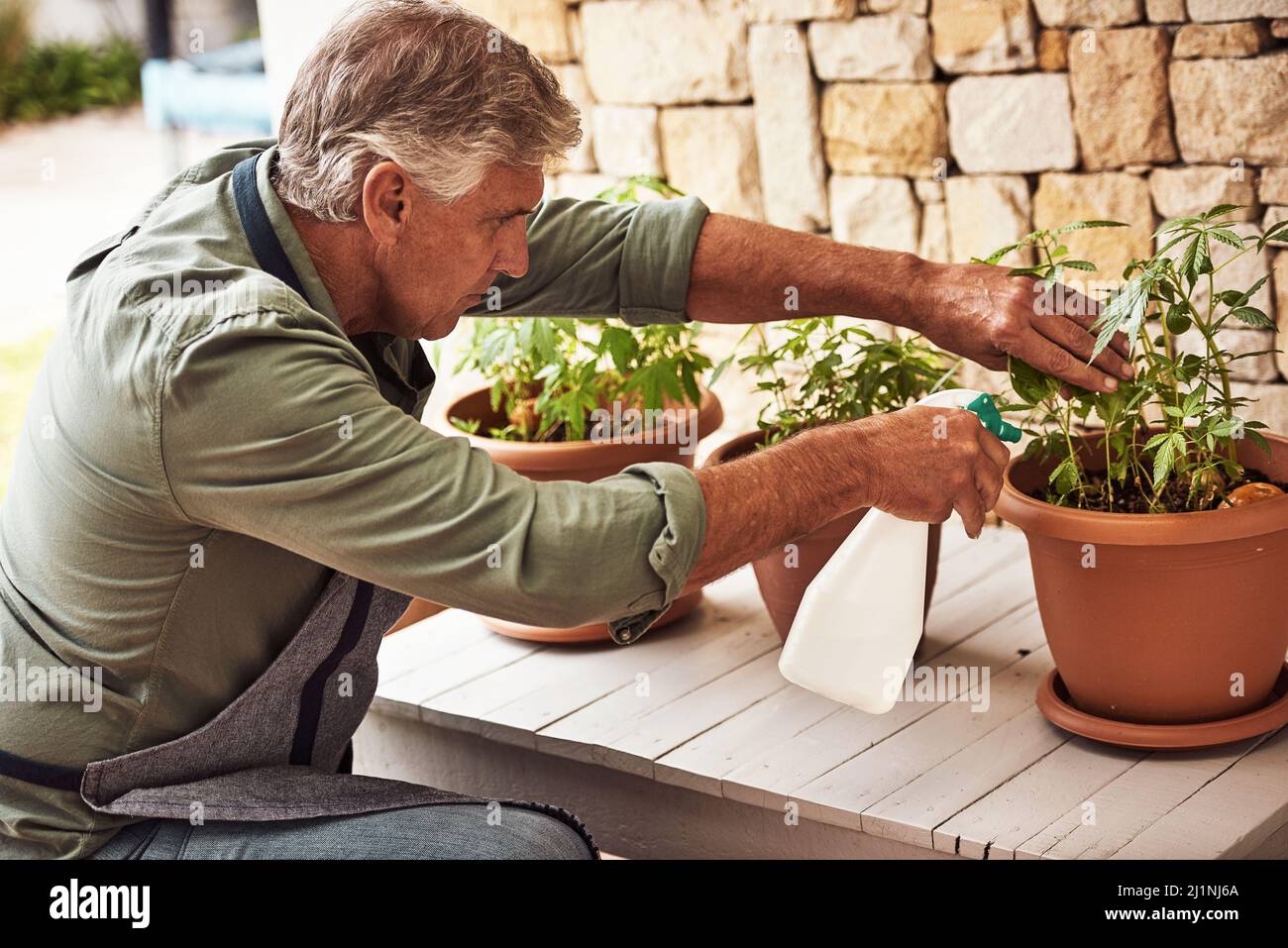 You got to make sure they grow properly. Cropped shot of a relaxed ...