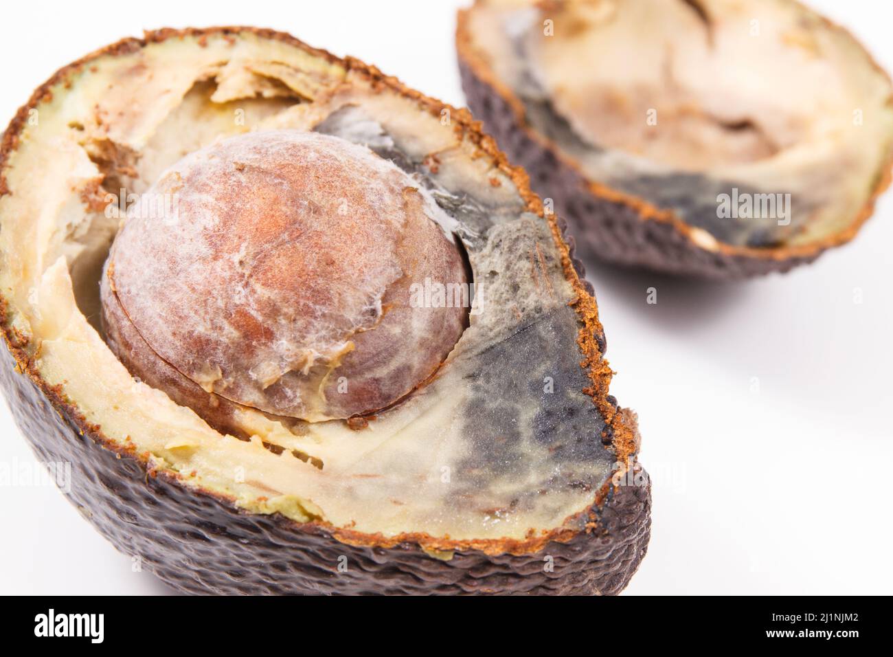 Inedible avocado with mold on white background. Unhealthy food Stock ...
