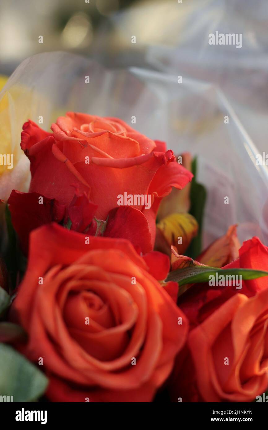 Beautiful bouquet of fresh flowers as a gift for someone special Stock ...