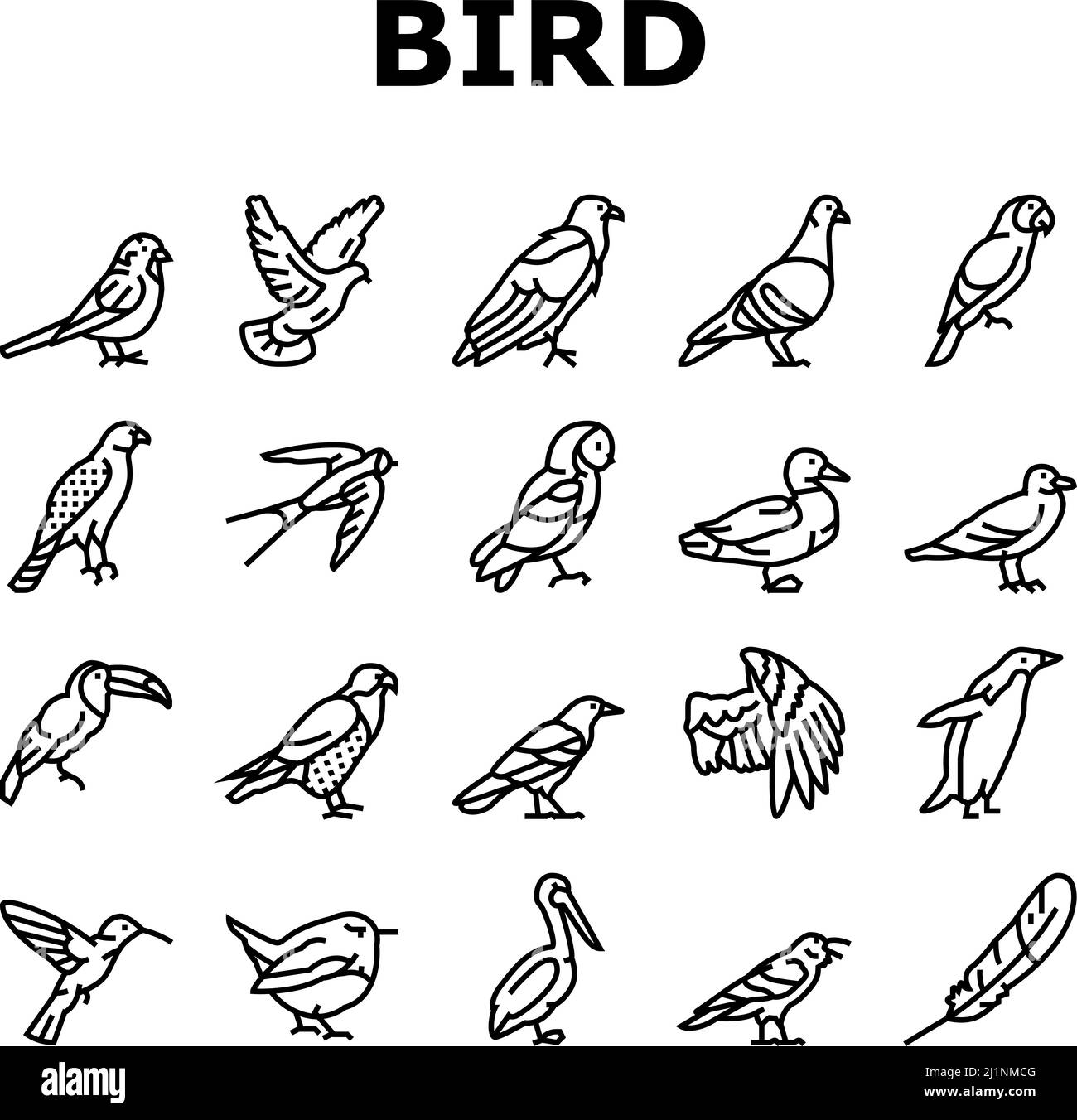 Bird Flying Animal With Feather Icons Set Vector Stock Vector Image ...