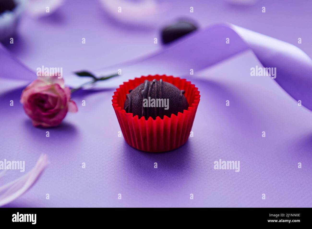 Chocolate festive candy. Trendy pink feathers, pink rose and purple ...
