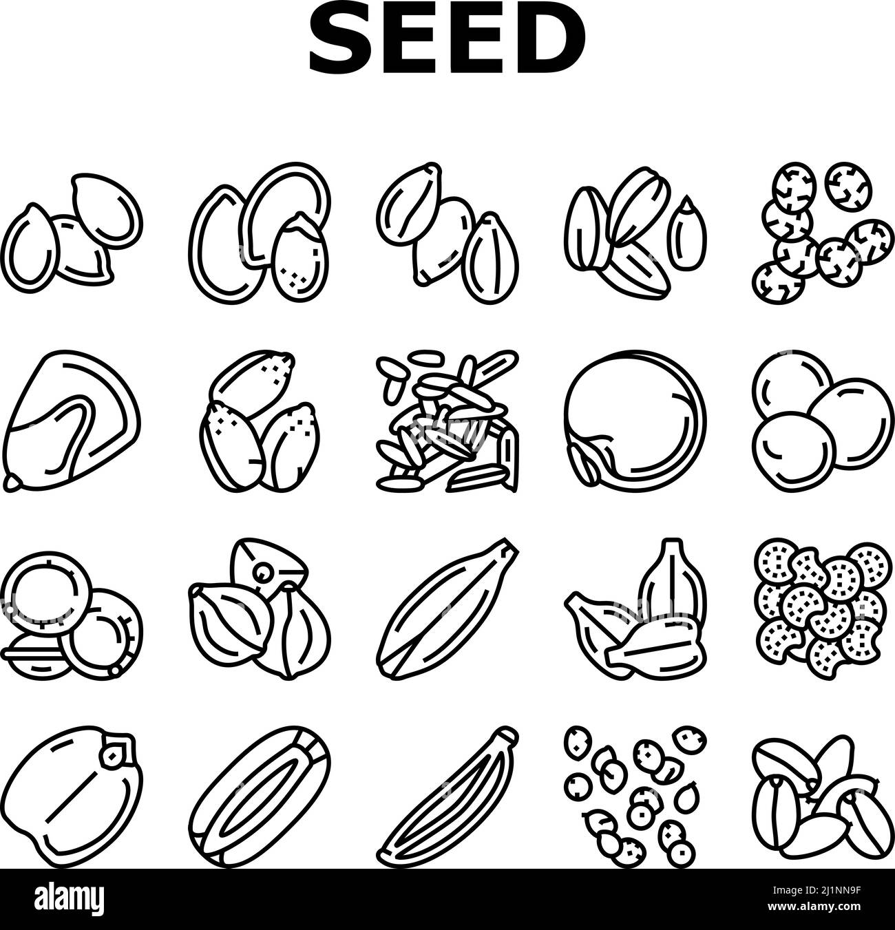 Seed Plant Agriculture Culture Icons Set Vector Stock Vector Image ...