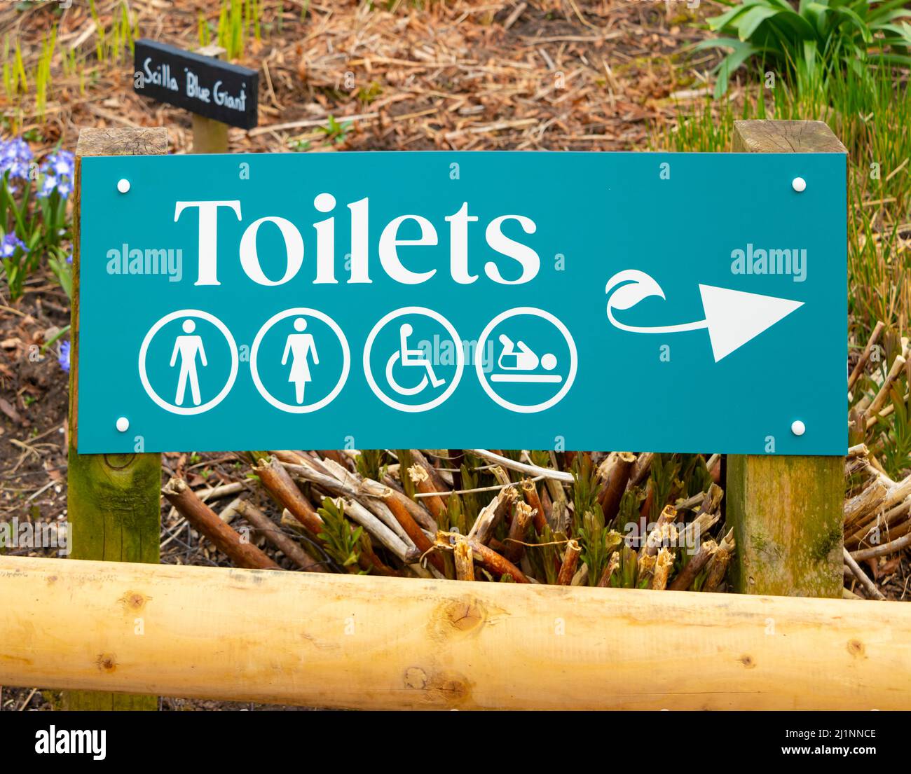 Pictograms for toilets hi-res stock photography and images - Alamy