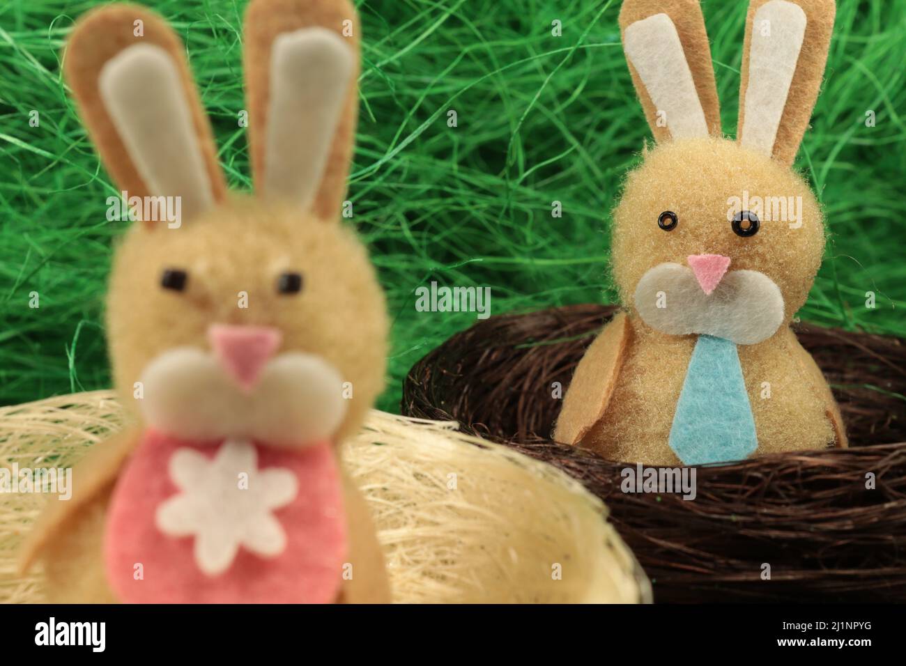 Two easter bunnies in cute nests against a green, grassy background ...