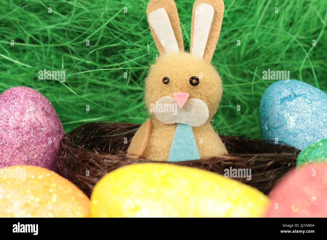 Bunny 2023 hi-res stock photography and images - Alamy