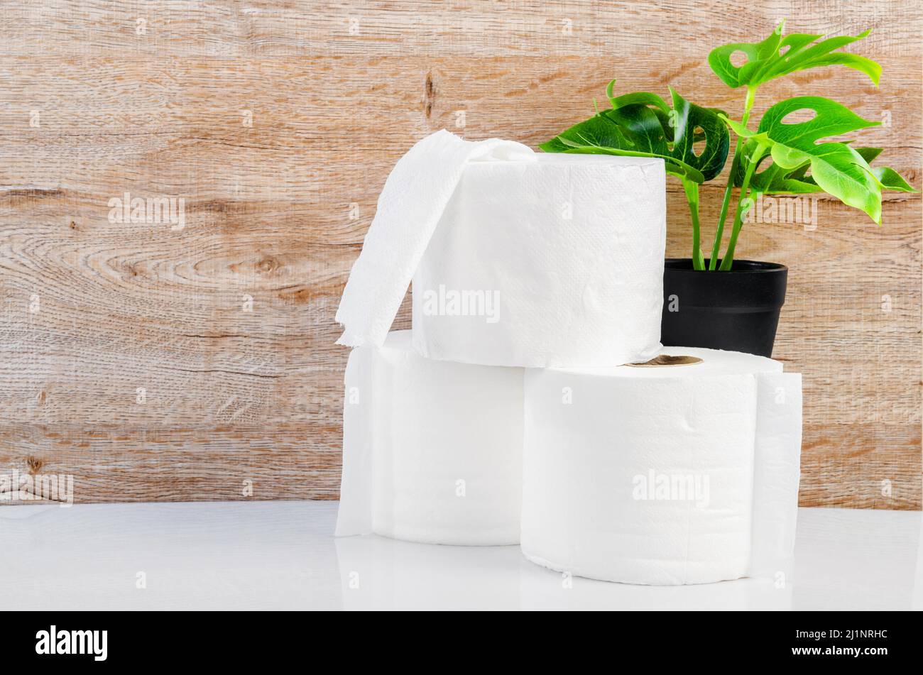 The Tissue paper rolls and green leaves on white background Stock Photo ...