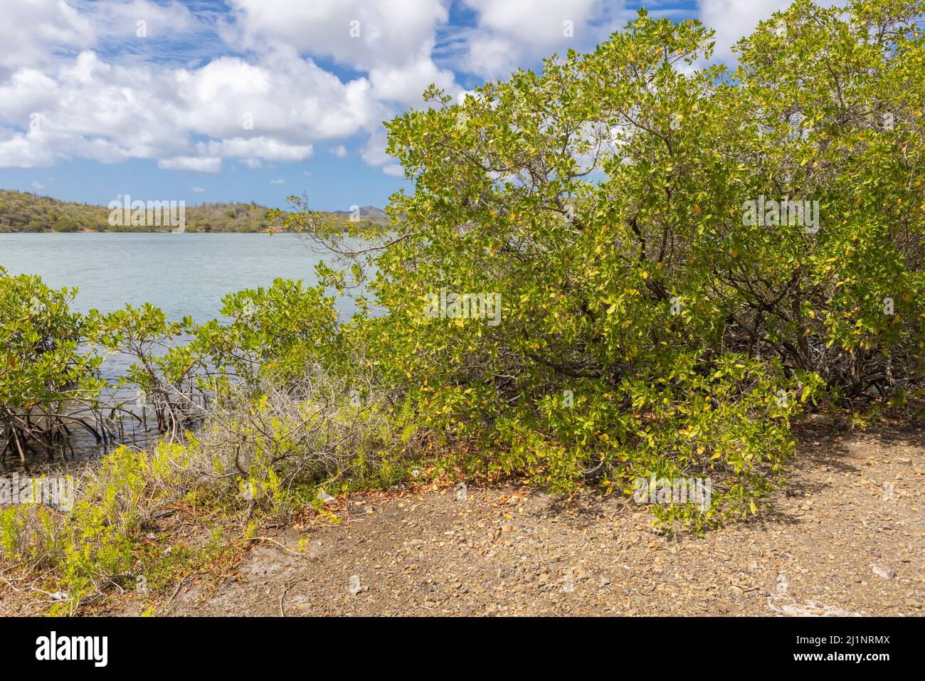 Beautiful Santa Martha Bay on the island Curacao in the Caribbean Stock ...