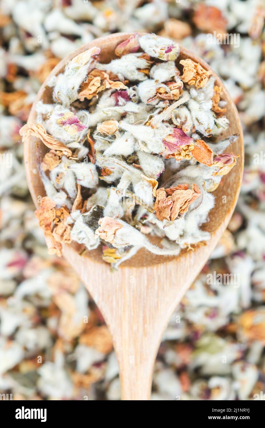 Flower tea. Dried of apple blossom in wooden spoon Stock Photo - Alamy