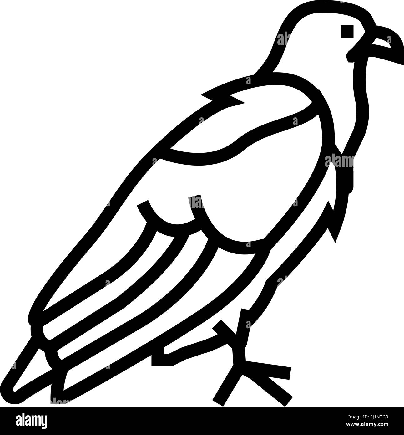 eagle bird line icon vector illustration Stock Vector Image & Art - Alamy
