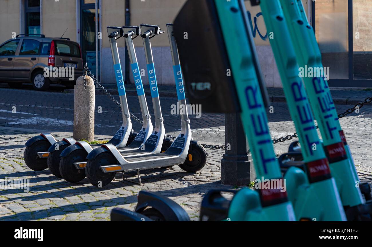 A picture of a group of electric scooters of the brands Bird and Tier ...