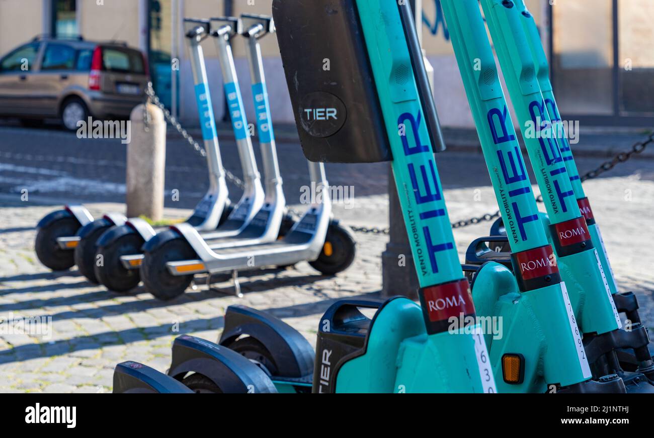 A picture of a group of electric scooters of the brands Bird and Tier ...