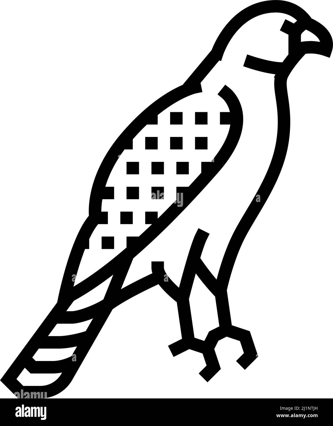 hawk bird line icon vector illustration Stock Vector Image & Art - Alamy