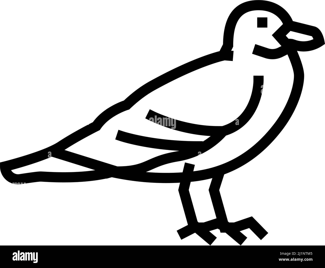 seagull bird line icon vector illustration Stock Vector Image & Art - Alamy