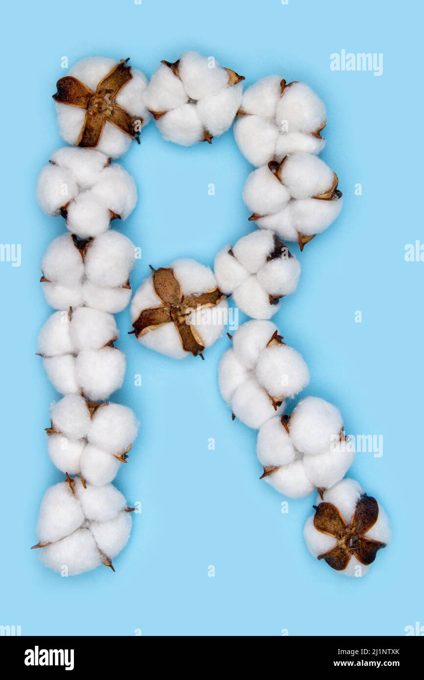 Letter r flowers hi-res stock photography and images - Alamy