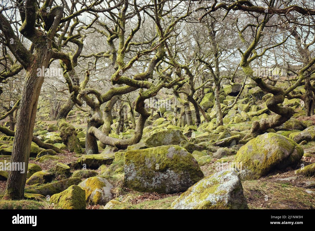 Rocky Padley Gorge in the Peak District, Derbyshire, UK Stock Photo - Alamy