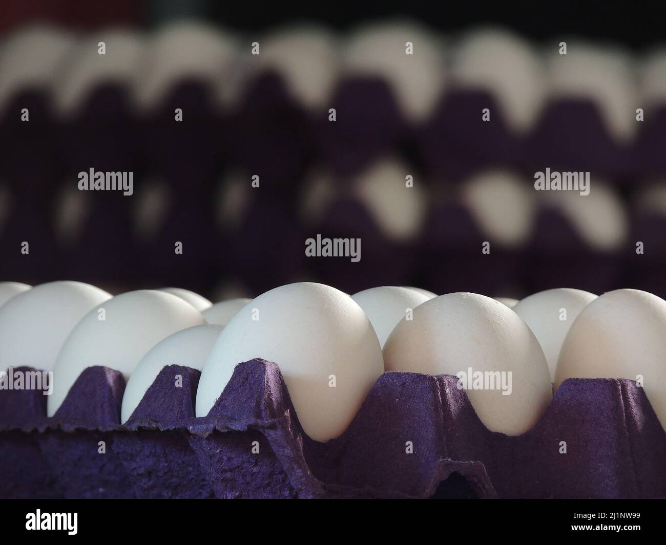 Eggs cell hi-res stock photography and images - Alamy