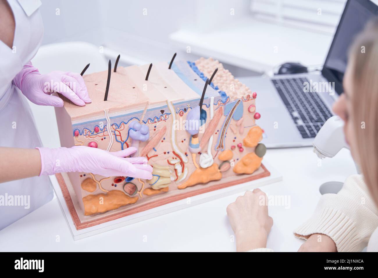 Qualified beauty clinic doctor explaining structure of dermis to woman ...