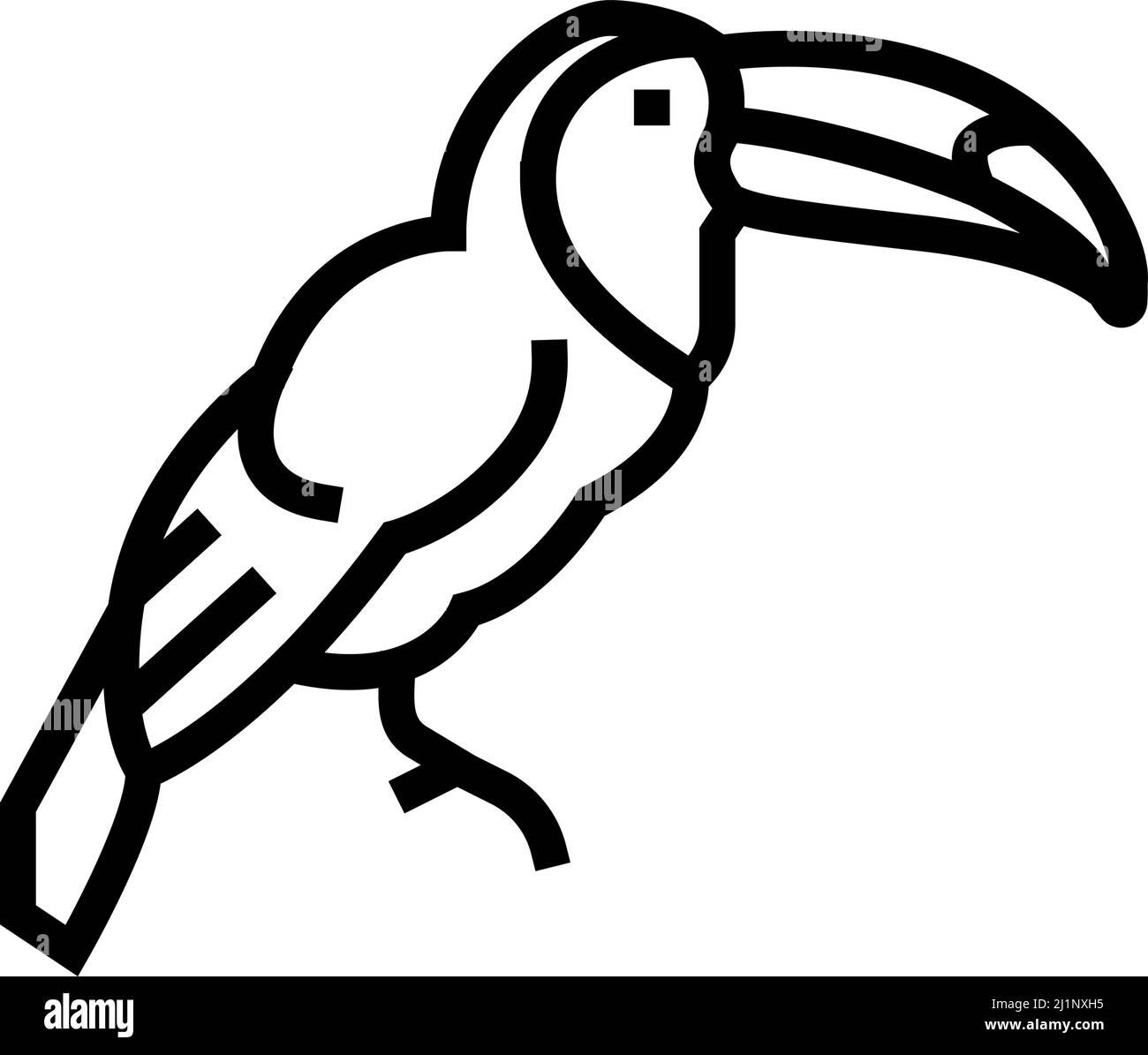 toucan exotic bird line icon vector illustration Stock Vector Image ...