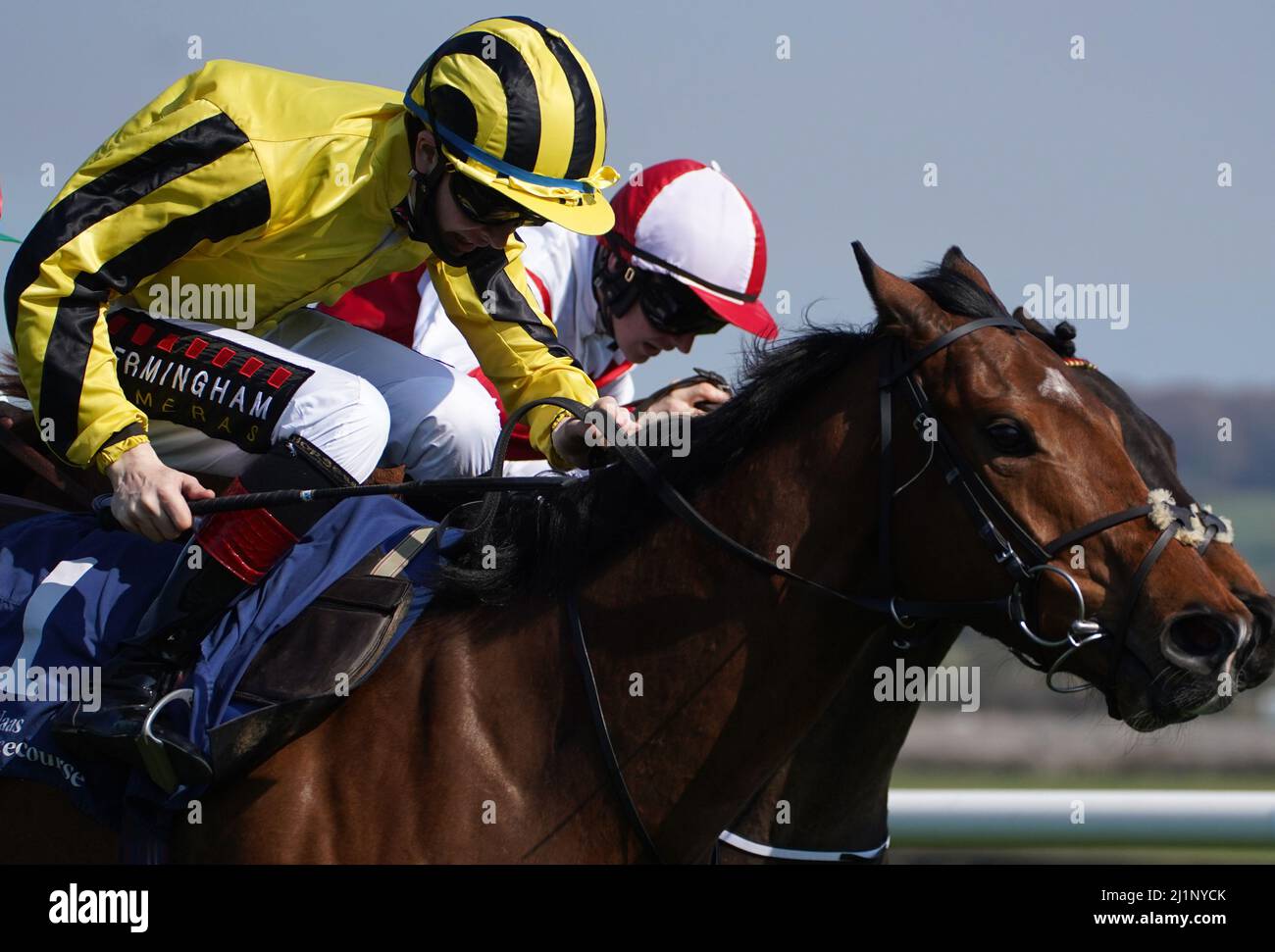 Lord Dudley ridden by Jake Coen on the way to winning the Smooth Daddy ...