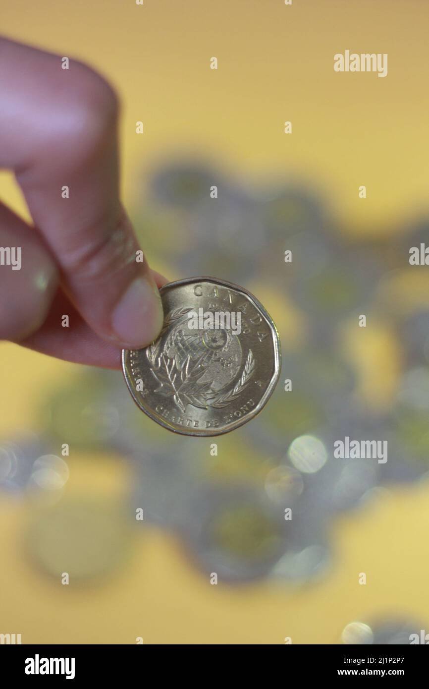 Canadian coin on woman hand, coin in women hand Stock Photo - Alamy