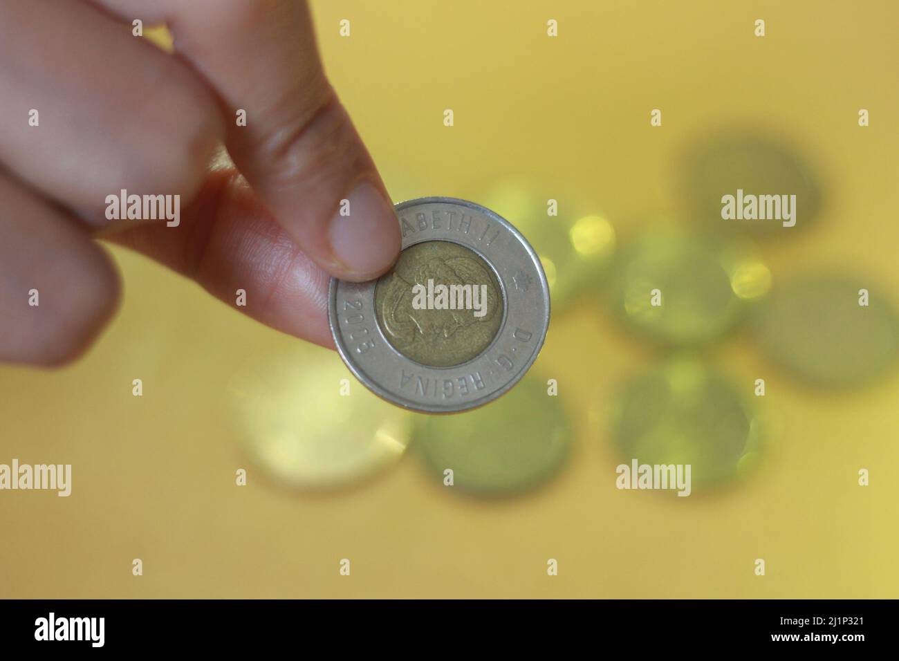 Canadian coin on woman hand, coin in women hand Stock Photo - Alamy