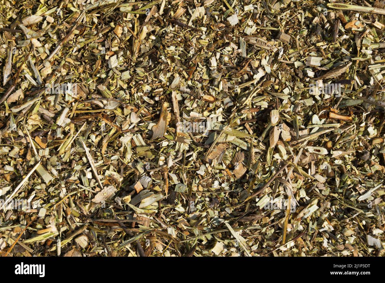 ground tree branches for fertilizer Stock Photo - Alamy