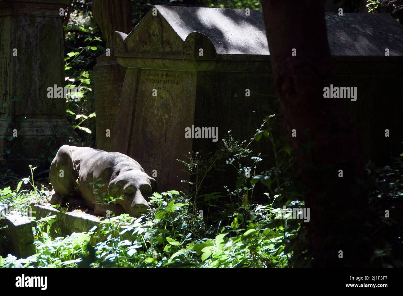 Highgate cemetery, London Stock Photo - Alamy