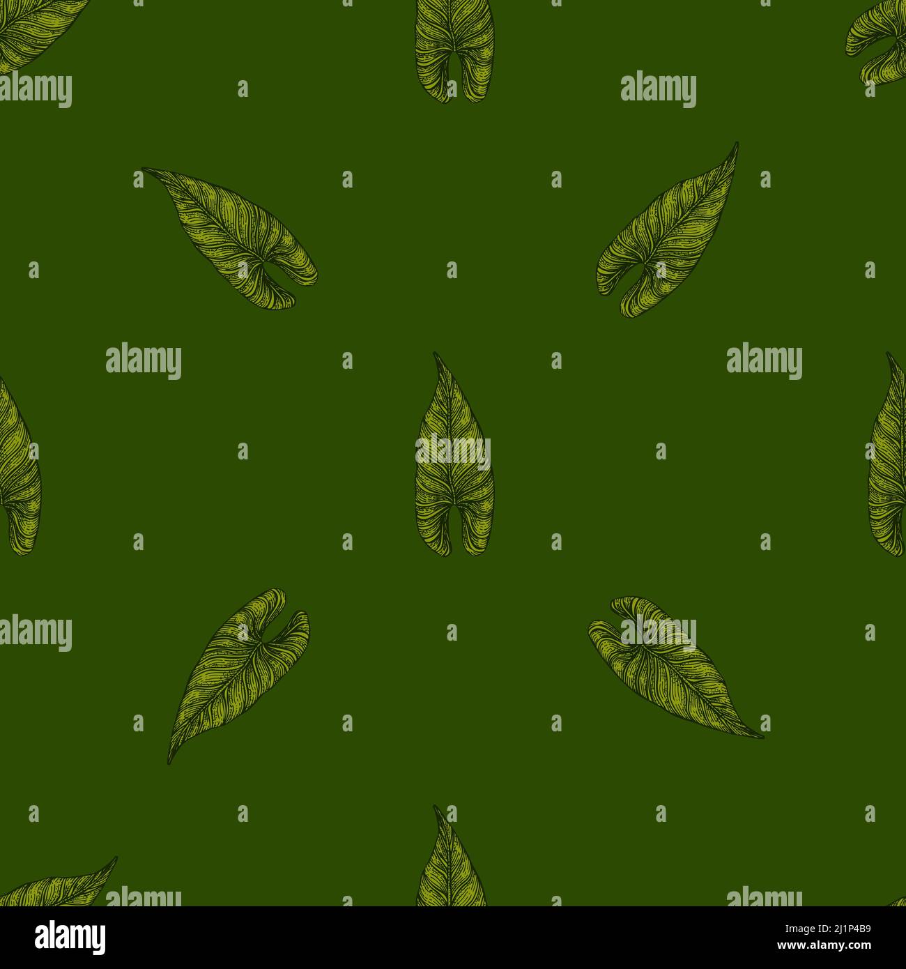 Engraving leaf araceae seamless pattern. Vintage leaves background ...