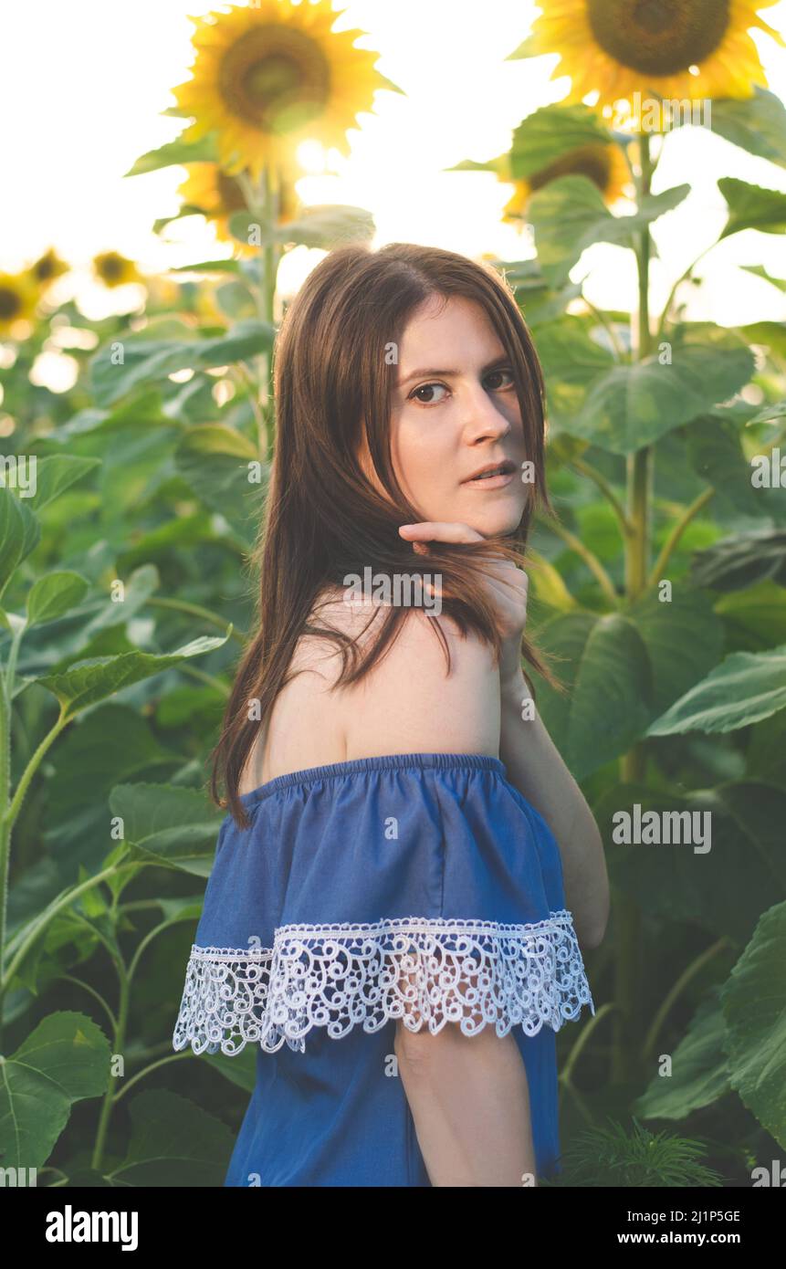 Beautiful young model posing in a field of sunflowers Stock Photo - Alamy