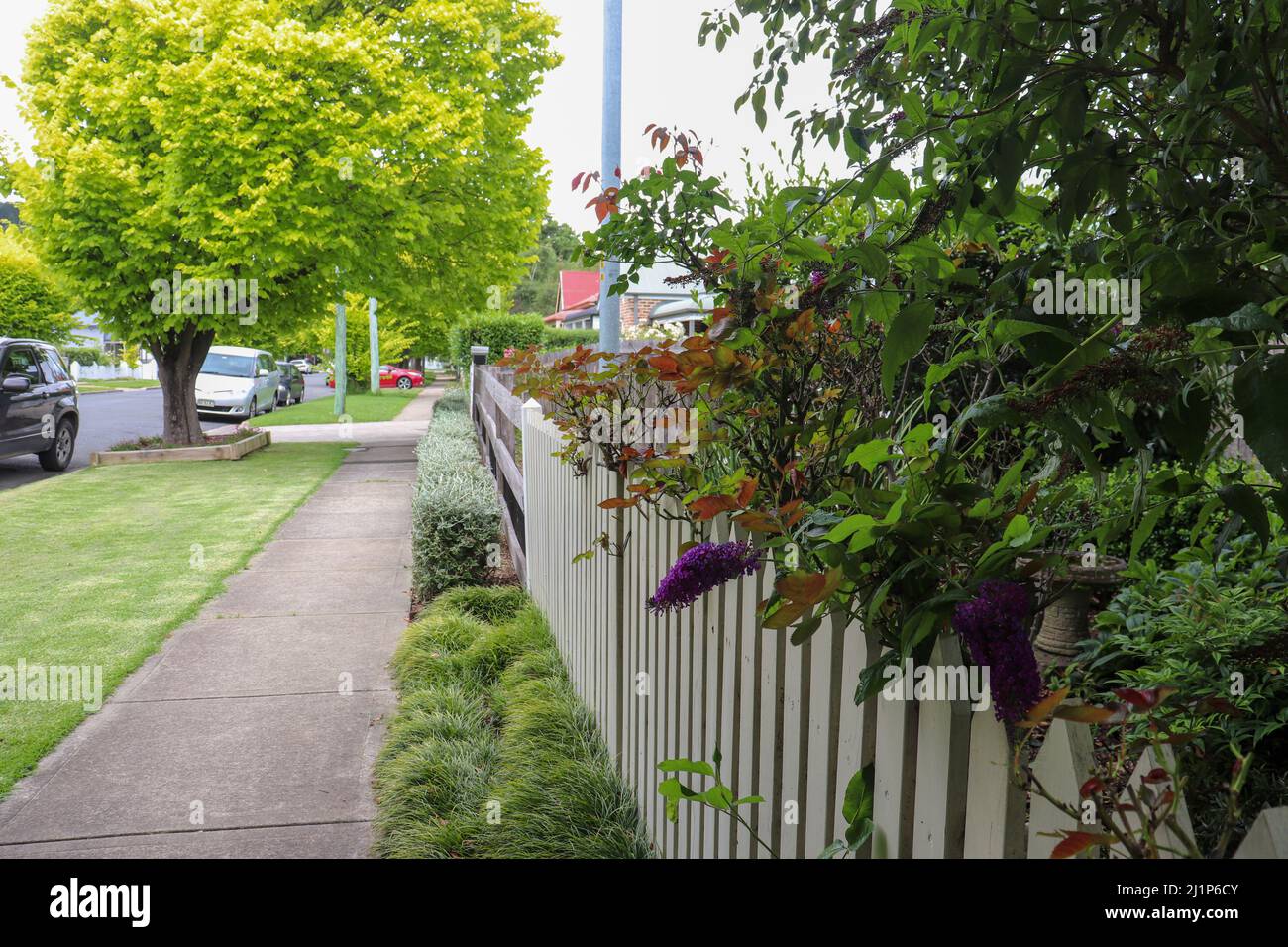 An aerial shot of a small country street with trees in Bowral ...
