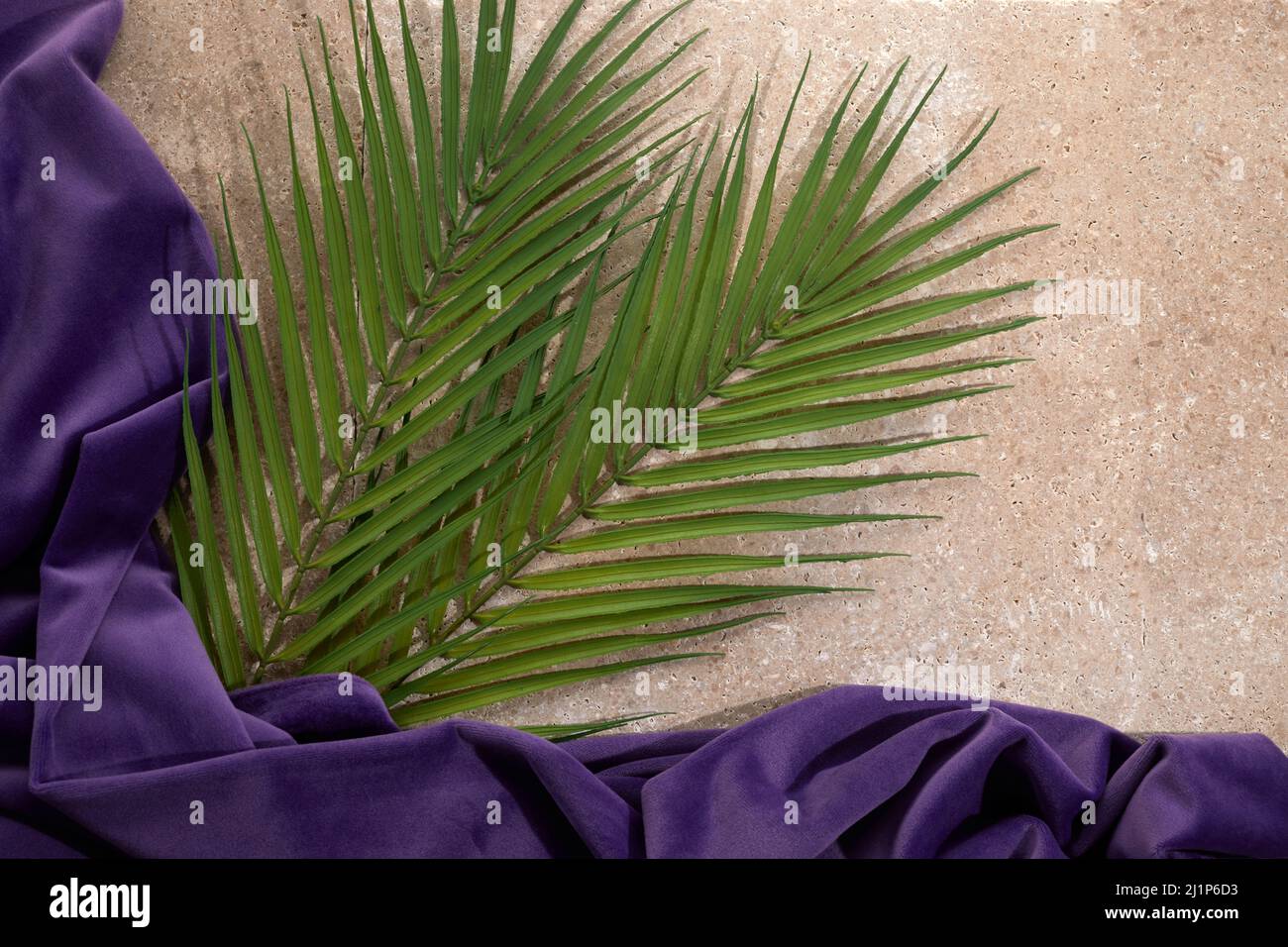 Palm Sunday background with green tropical tree leaves on stone Stock ...