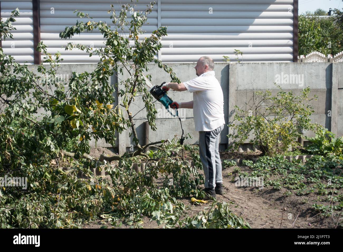 Old man cutting log hi-res stock photography and images - Alamy