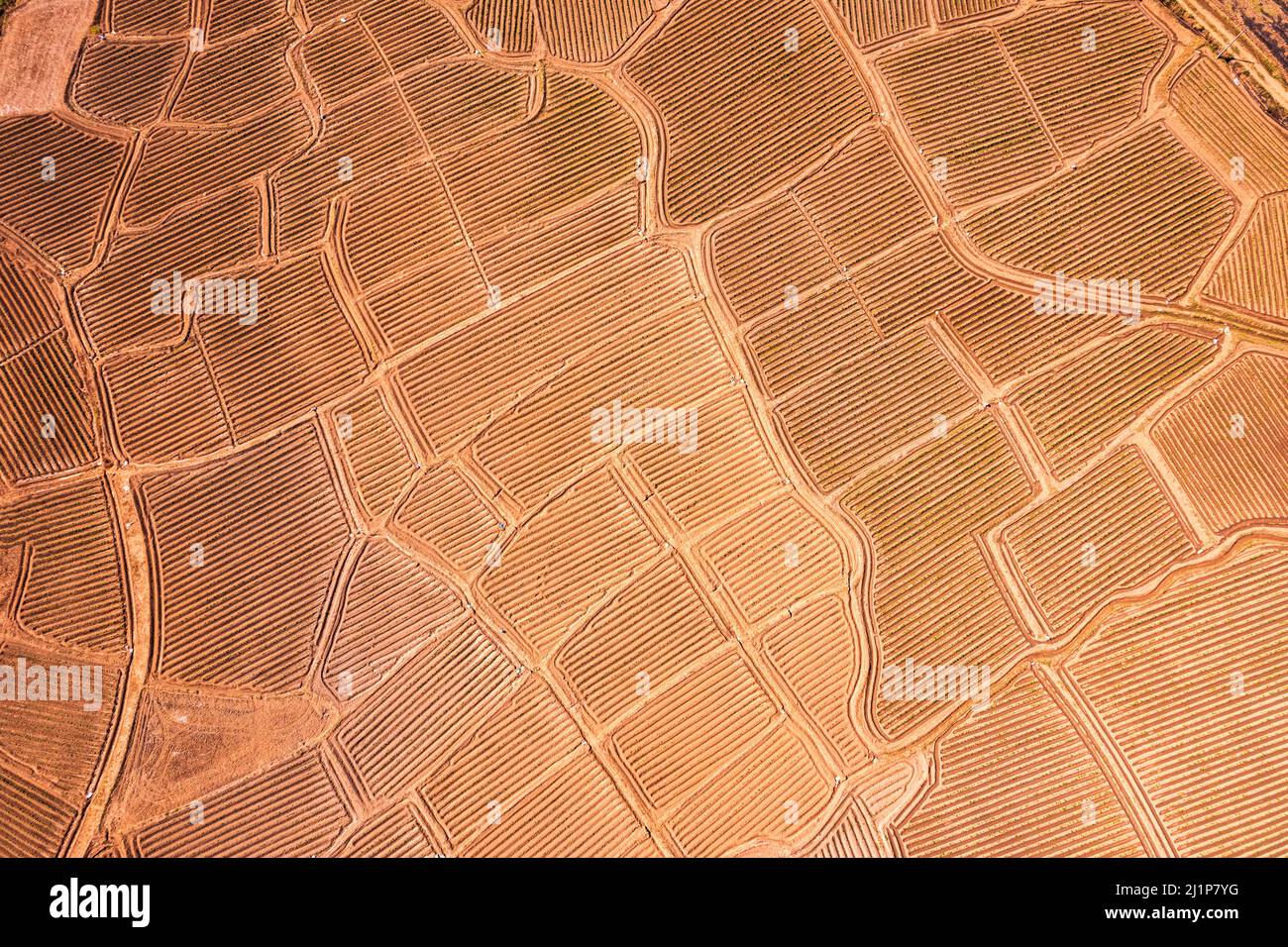 Aerial view of agricultural soil groove, land spot field preparing for ...
