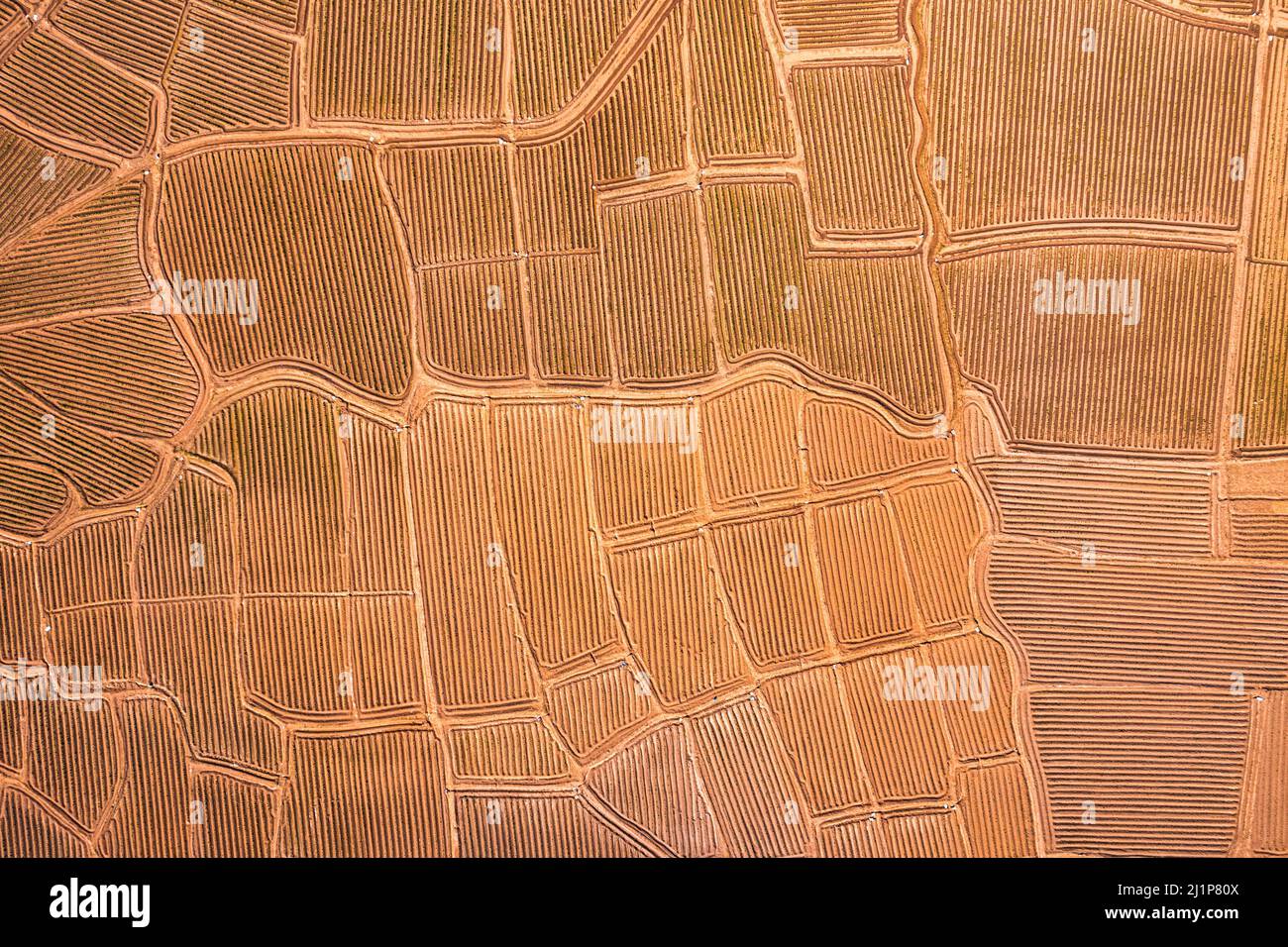 Aerial view of agricultural soil groove, land spot field preparing for ...