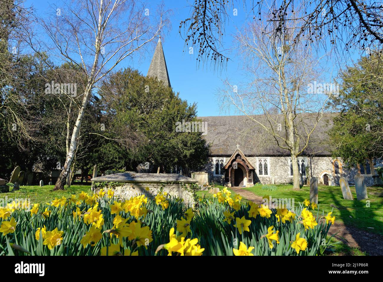 The Parish Church and churchyard of St. Peter and St. Andrew, Old ...