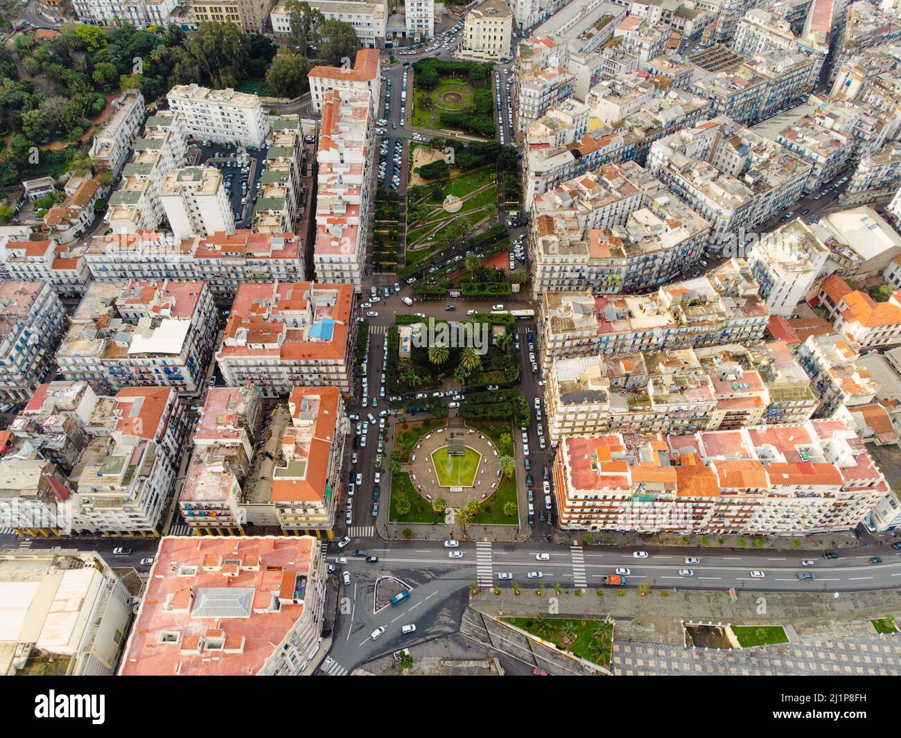 Birds of algeria hi-res stock photography and images - Alamy