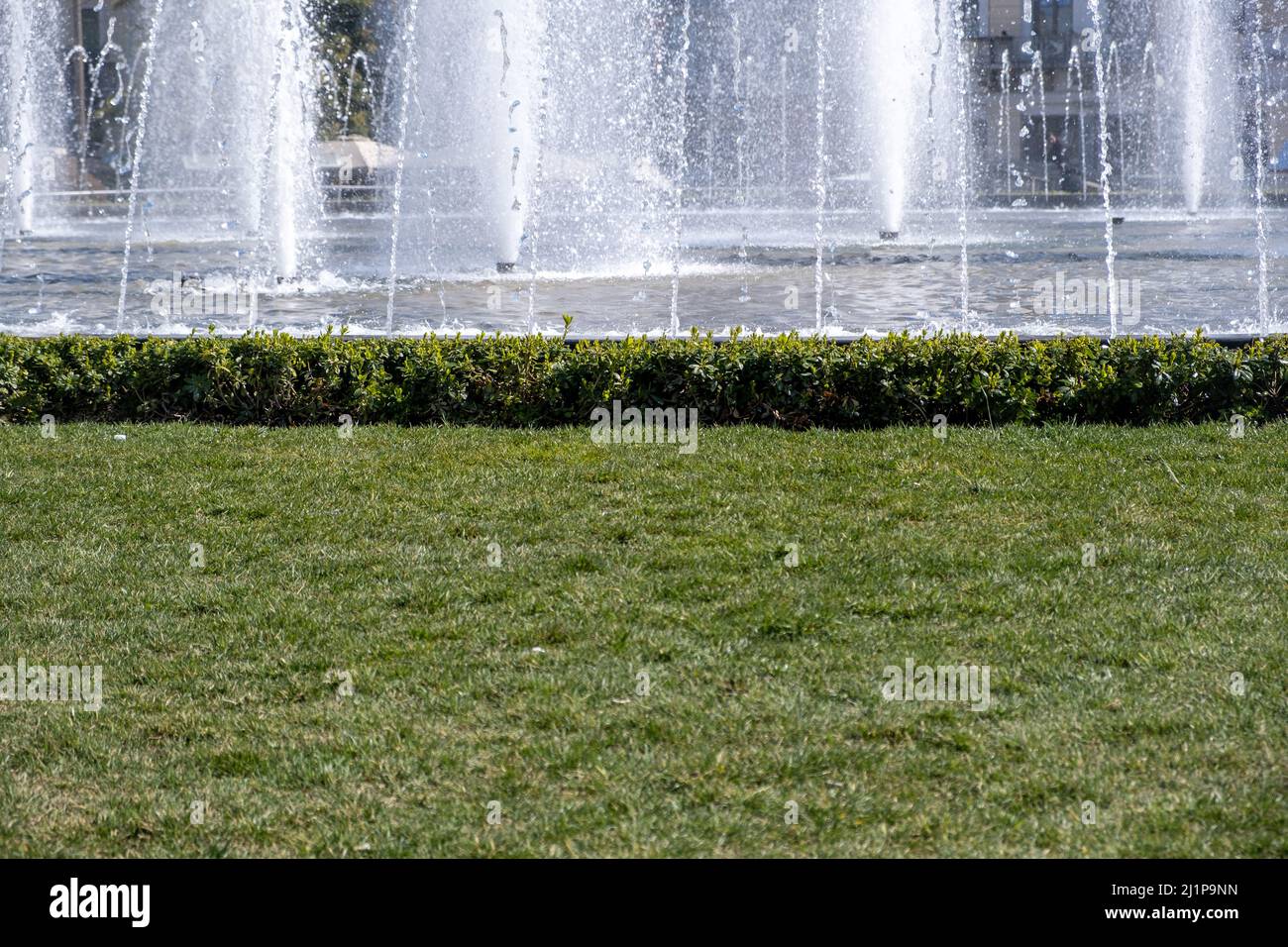 Fountain in the city center. Water moving jets decorate a round shape ...