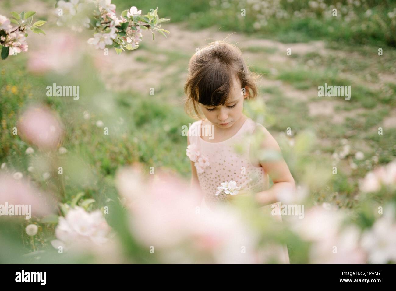 Spring time inspiration photo, natural colors Stock Photo - Alamy