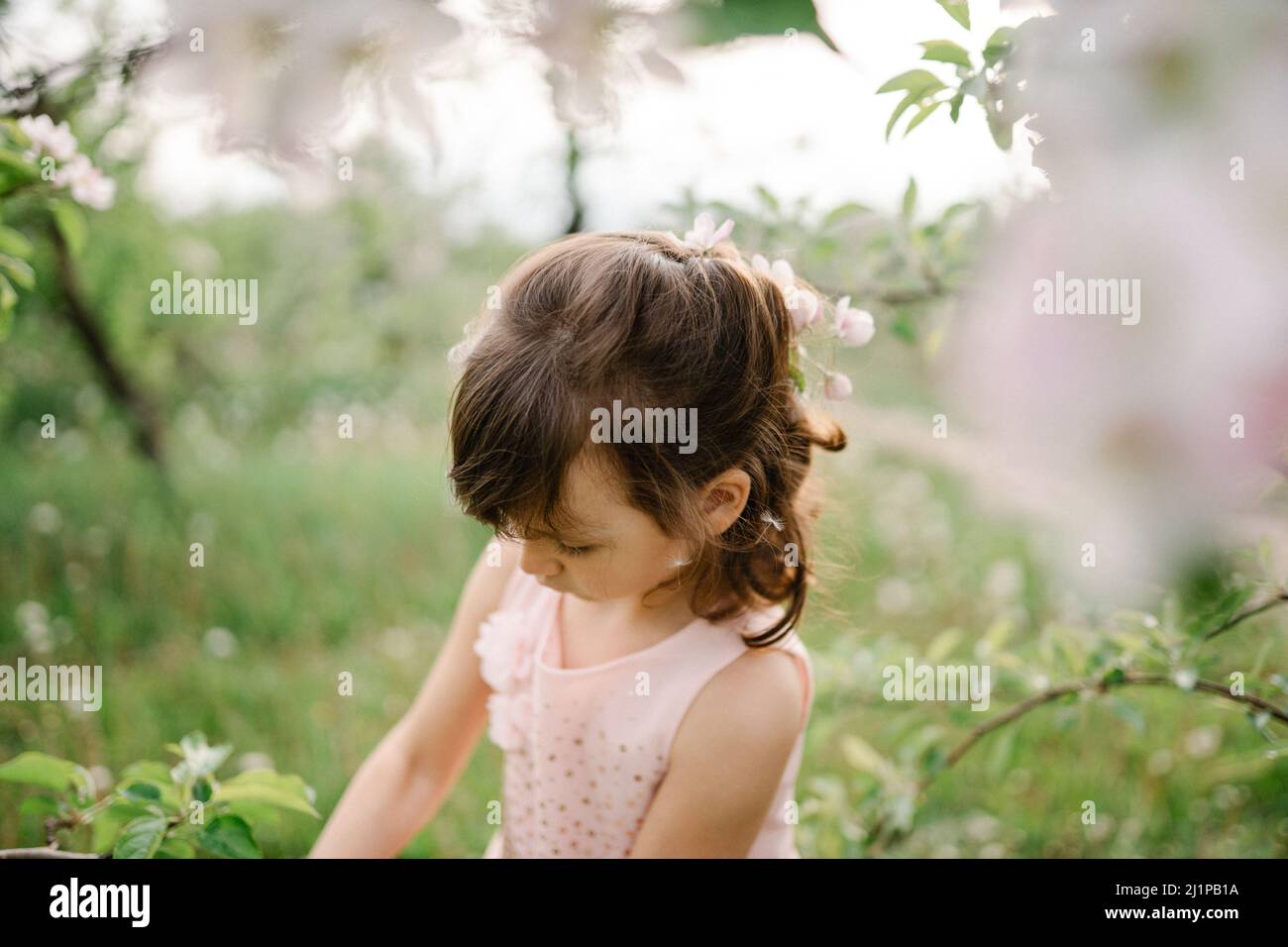 Spring time inspiration photo, natural colors Stock Photo - Alamy