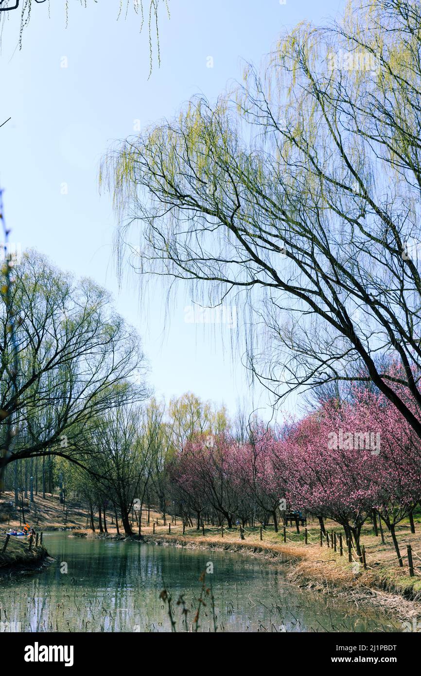 Olympic forest park beijing hi-res stock photography and images - Alamy