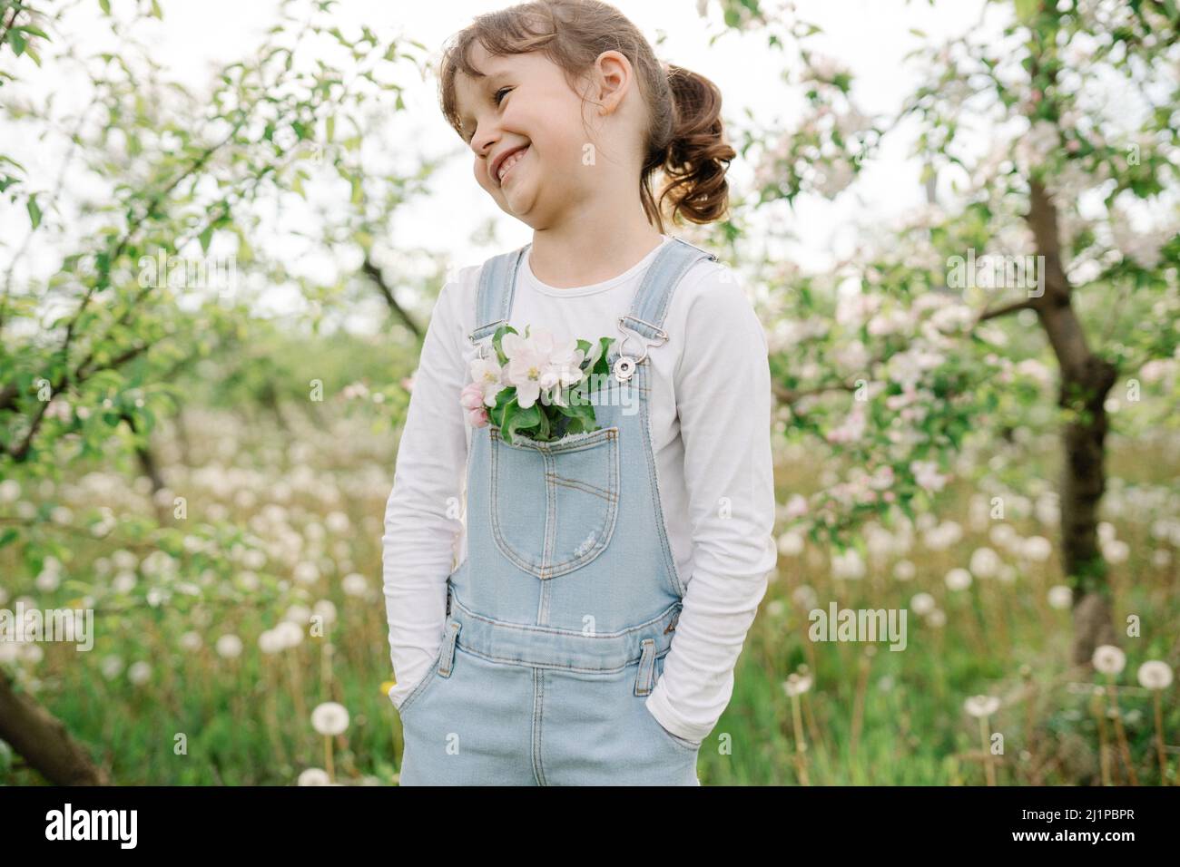 Spring Inspiration, nature in spring Stock Photo - Alamy