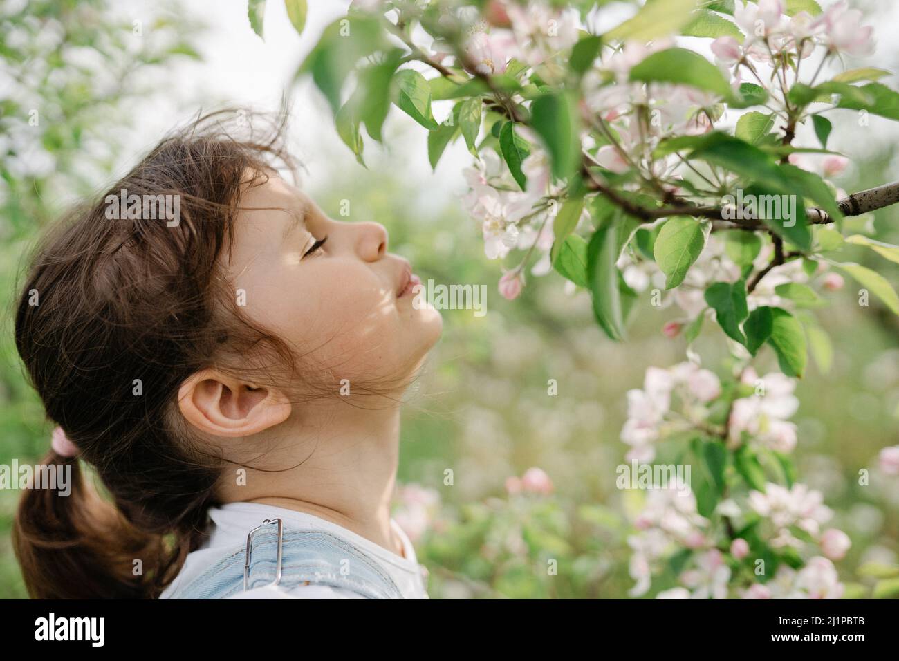 Inspiration nature hi-res stock photography and images - Alamy