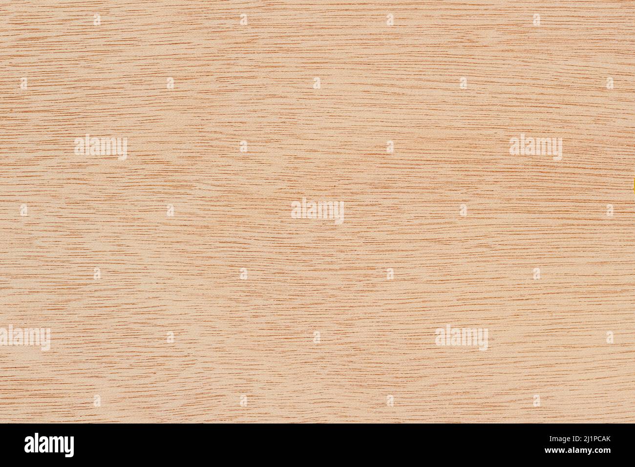 Sheet of veneer as natural wood background or texture, natural pattern ...