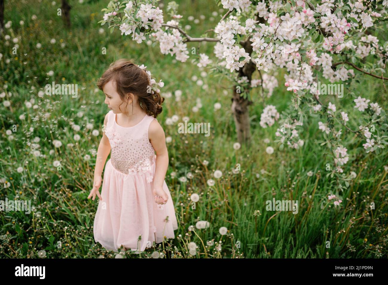 Spring time inspiration photo, natural colors Stock Photo - Alamy