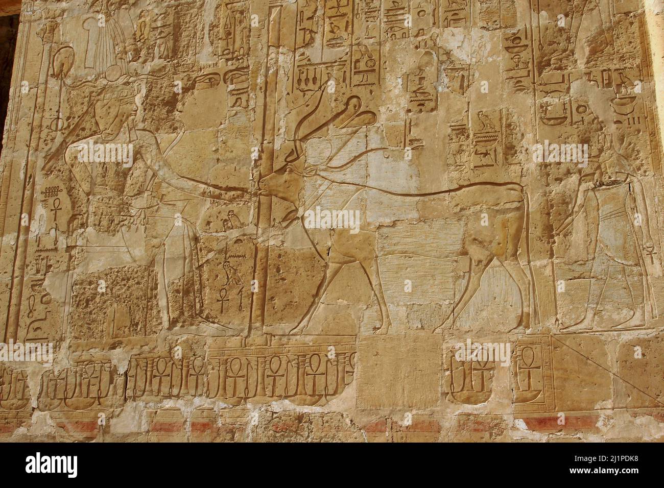 Tomb kv20 hi-res stock photography and images - Alamy