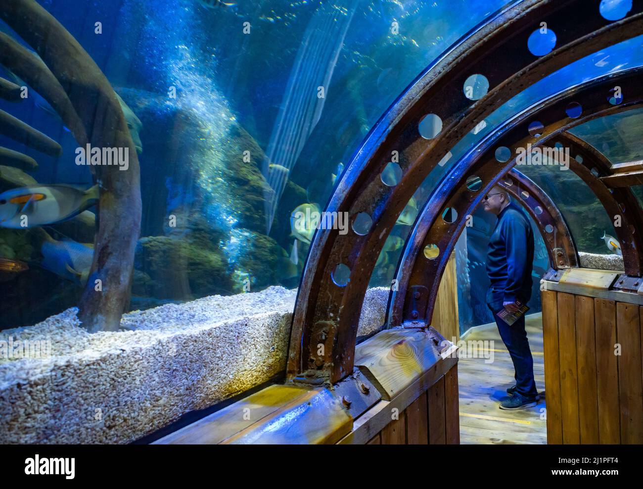 The path through the walk-through aquarium fish tank in Hunstanton Sea ...