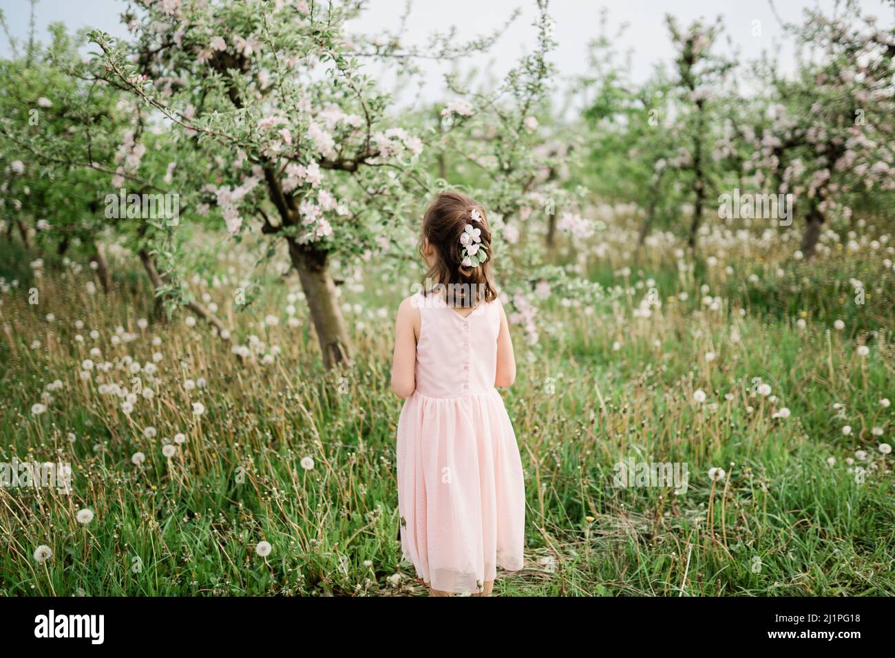 Spring time inspiration photo, natural colors Stock Photo - Alamy